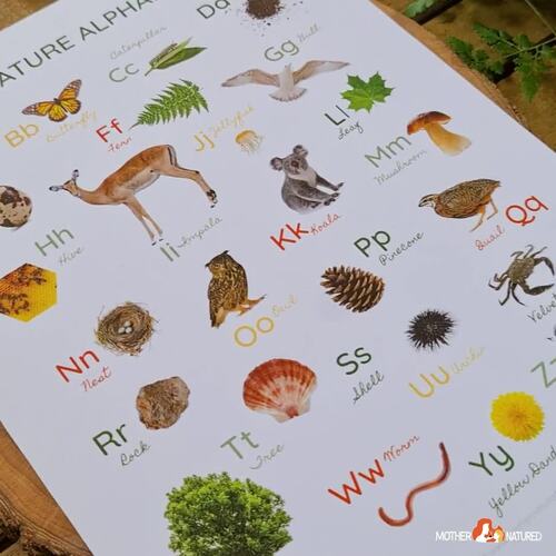 Nature Alphabet Poster | Nature Alphabet Classroom Poster | Nature Poster