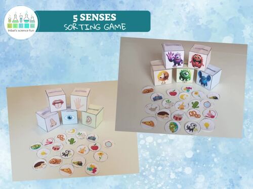 Five Senses sorting game by Inbal's science fun | TPT