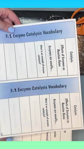 Unit 3 AP Bio Energetics Vocabulary Foldable by Science with Cara