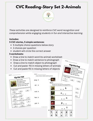 CVC Reading Stories and Answering Questions Worksheets BUNDLE (ABBLS-R)