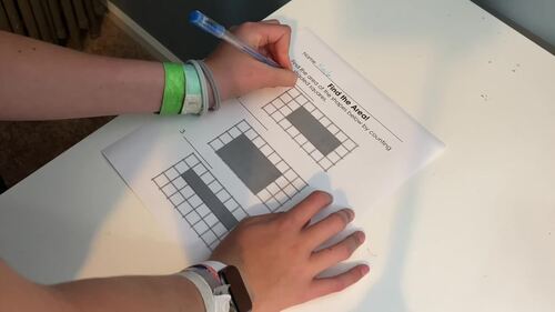 Intro to Area of Rectangles {3 Practice Pages!} by Miz Riz Elementary ...