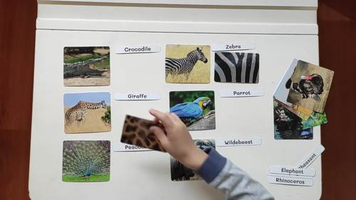 Animals Skin Covers Matching Cards. Montessori animals materials. Zoo ...