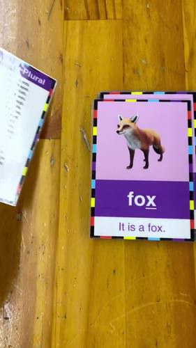 Plural & Singular Animal Flash Cards | 3-letter Words & CVC | Early ...