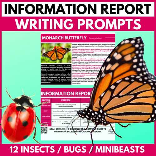 Information Report Writing Prompts | Insects Bugs Minibeasts ...