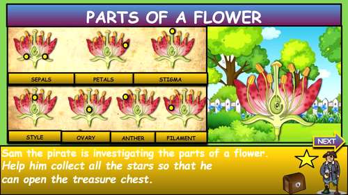 Parts of a Flower: Interactive Google Slides + PPT + 4 Worksheets