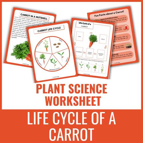Life Cycle of a Carrot Worksheet | Vegetable & Plant Unit Study With ...