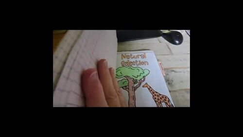 Natural Selection Interactive Notebook Templates for Middle School by ...