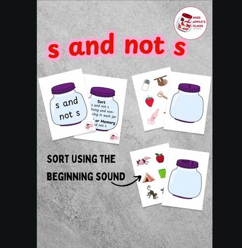 Sorting Initial Sound s and not s | Beginning Sound Activities ...