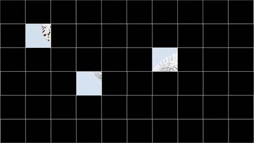 WINTER EDITION of Reveal! The Mystery Picture Game | TPT