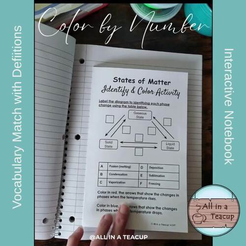 States of Matter & Phase Changes Owl BTS Foldable Color by Number Activity