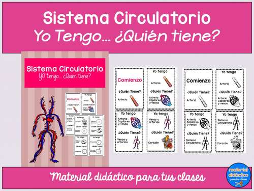 Sistema Circulatorio, vocabulario 2021 | Pack de juegos | Spanish Resources