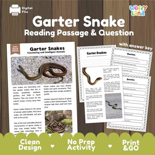 Garter Snake Non Fiction Reading Passage and Questions Reptiles Biology ...