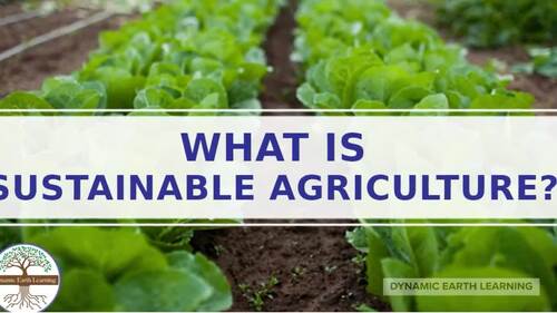 Sustainable Agriculture | Video Lesson, Handout, Worksheets | Earth Science