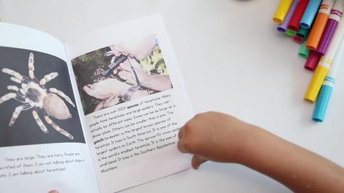 Guided Reading 2nd Grade Bundle - Printable & Digital Distance Learning