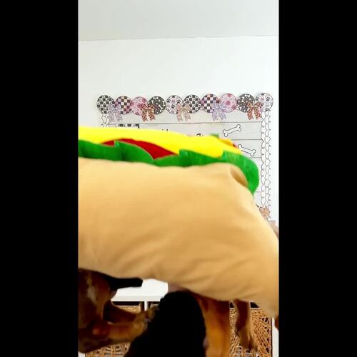 Dog Themed Halloween Bulletin Board - October Responsibility - Door Decor