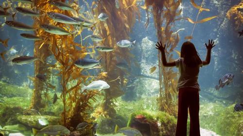 Density Escape Room - 6th 7th 8th Grade Science Review Activity | TPT