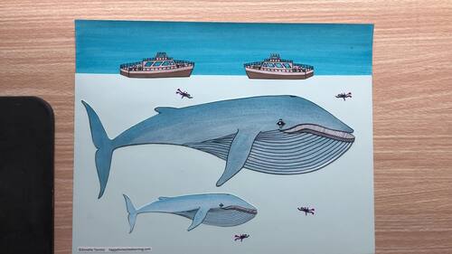 Blue Whale Marine Mammal Draw & Learn Lesson | Animal Classification ...