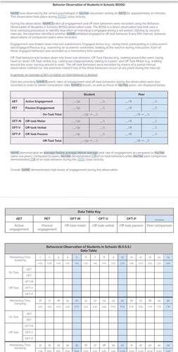 BOSS Observation Report Template by TakingWISCs | TPT
