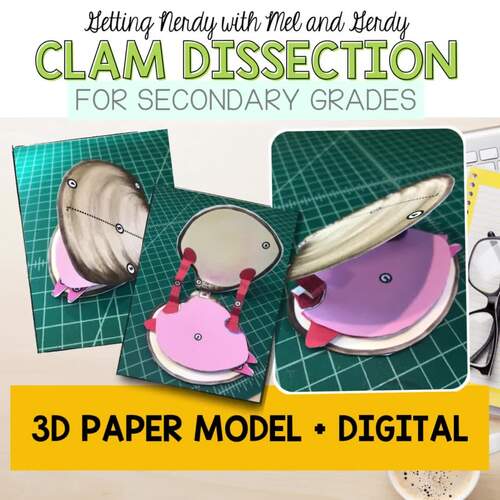 Clam Paper Dissection 3-D Dissection Model for Clam / Invertebrate Anatomy