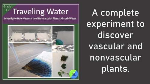 Vascular and Nonvascular Plants | Water Transportation | Grade 4 5 Science