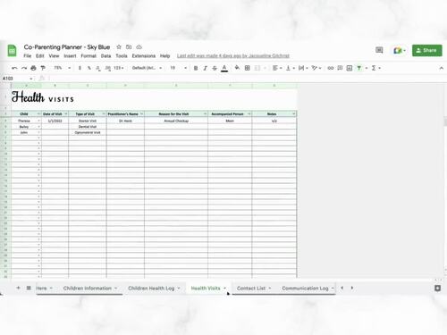 Co-Parenting Planner Google Sheets Spreadsheet - Sky Blue by Mom Money Map
