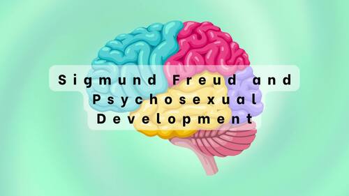 Sigmund Freud and Psychosexual Development | Reading, Questions & Key ...