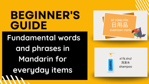 Everyday Essentials in Mandarin: Vocabulary and Common Conversations