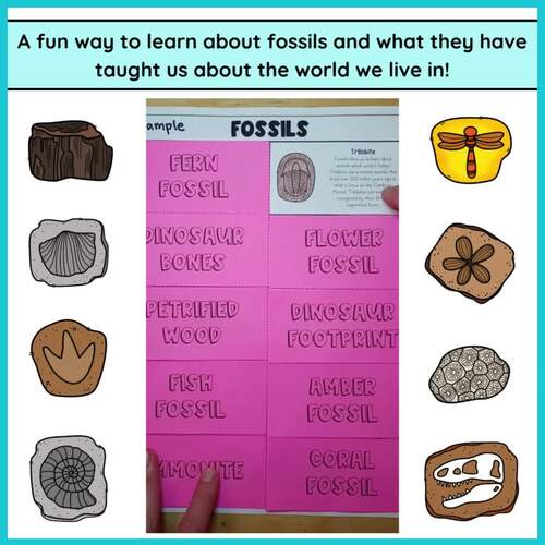 Fossil Flipbook | A Fun Activity to Teach about Fossilization & Earth's ...