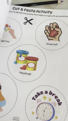 Emotional Regulation Bundle • Feelings Emotions Coping Skills • SEL ...