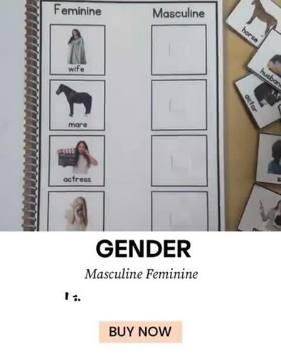 Masculine and Feminine Sorting Gender of Nouns | Noun Sort Worksheet ...