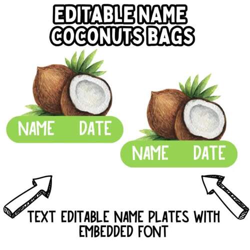 Tropical Birthday Bulletin Board: Editable Tropical Birthday Bulletin Board