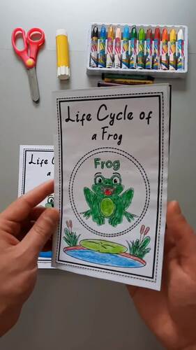 Life Cycle of a Frog,Chicken and Plant Craft Bundle Spring Science ...
