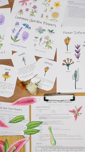 Flower Unit: botany and floral anatomy curriculum & materials by Wild ...