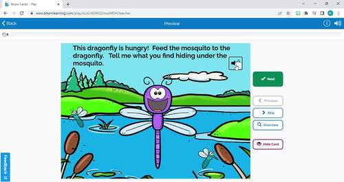 Multisyllabic Words-3 Syllables: Feed the Mosquitoes to the Dragonfly.