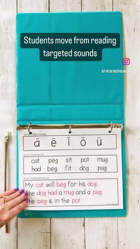 Daily Phonics Fluency Drills - Progress from sounds to words to sentences