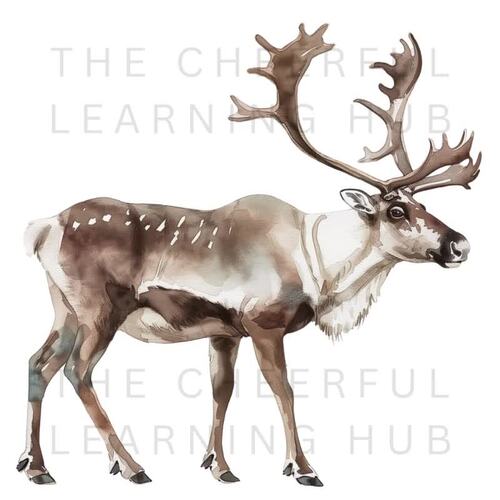 Arctic Animals Clip Art | 25 PNG Images | Commercial Use | TPT