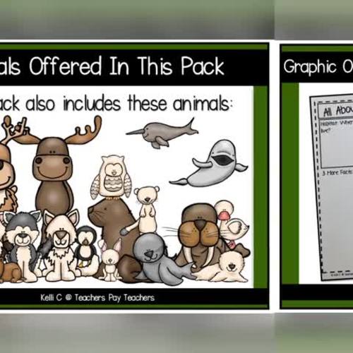 Animals Research Flip Books For Arctic Animals by Kelli C | TPT
