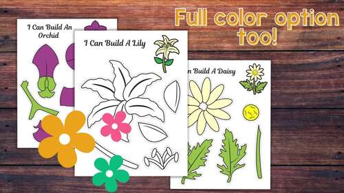 Spring Flowers Bulletin Board Craftivity, Build a Flower Coloring ...