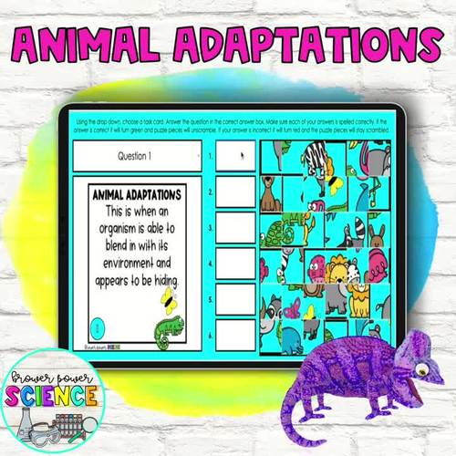 Animal Adaptations Warm Up Digital and Printable Task Cards | TPT