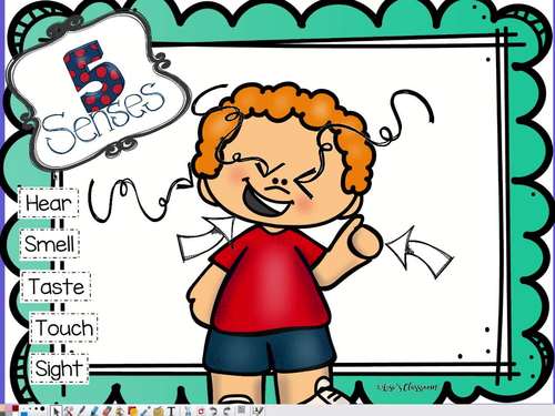 PAPERLESS 5 Senses Student Interactive Anchor Chart by Lisa's Classroom