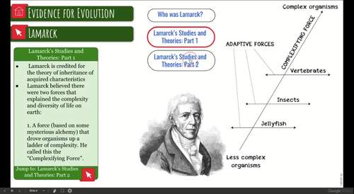 Lamarck and Darwin Interactive Diagram by Science With Mrs Lau | TPT