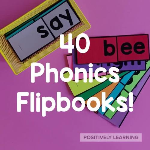 Phonics Flipbooks with Long Vowel Word Families by Positively Learning