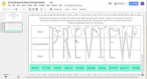 Circumference and Area of Circles Digital and Print Activity for Google