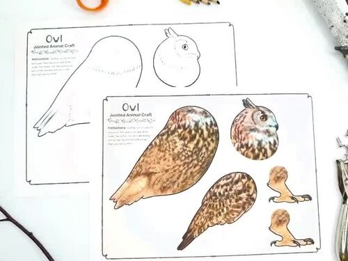 Owl | Jointed Animal Craft | Articulated Craft | Owls by Simply Schoolgirl