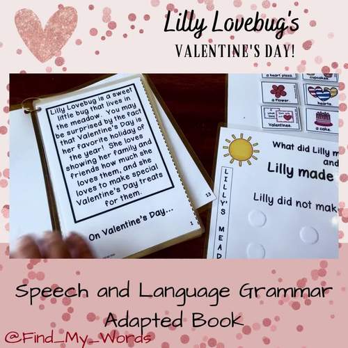 Present & Past Tense Irregular Verbs Adapted Books - Valentine's Day