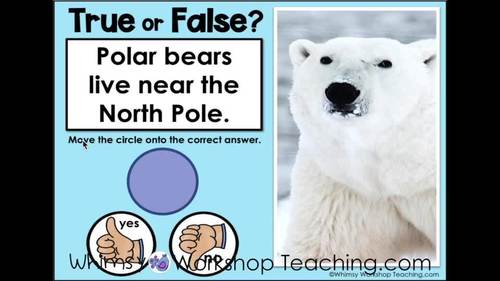 Google Slides Science True False Nonfiction Animal Facts Polar Bears