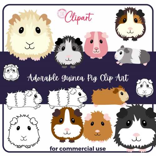 Guinea Pig and Skinny Pig Clipart/Clip Art - 92 PNG Images for ...