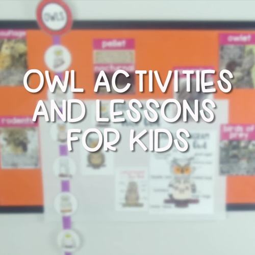 Owl Bird Science Unit - Reading & Writing Activities - Fall Fact ...