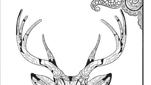 deer mandalas coloring pages for adults