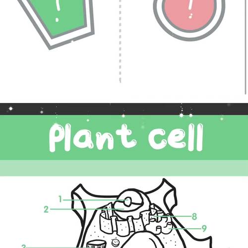 [V.1] Plant VS Animal cell structure - Fill in the blank/Compare the ...